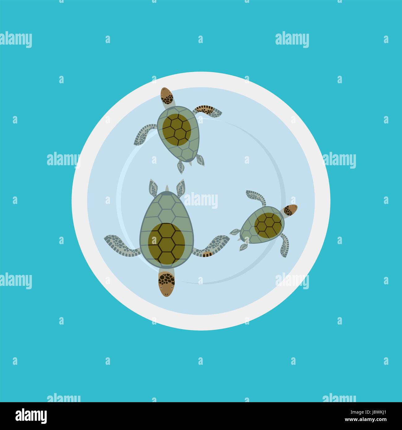 Turtle soup isolated. Delicatessen food on blue background. Sea animals ...