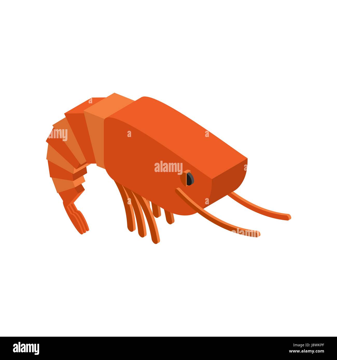 Shrimp isolated. Crustaceans on white background. sea animals Stock ...