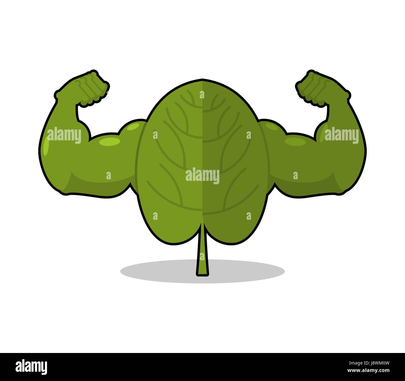 Caucasian spinach Stock Vector Images - Alamy