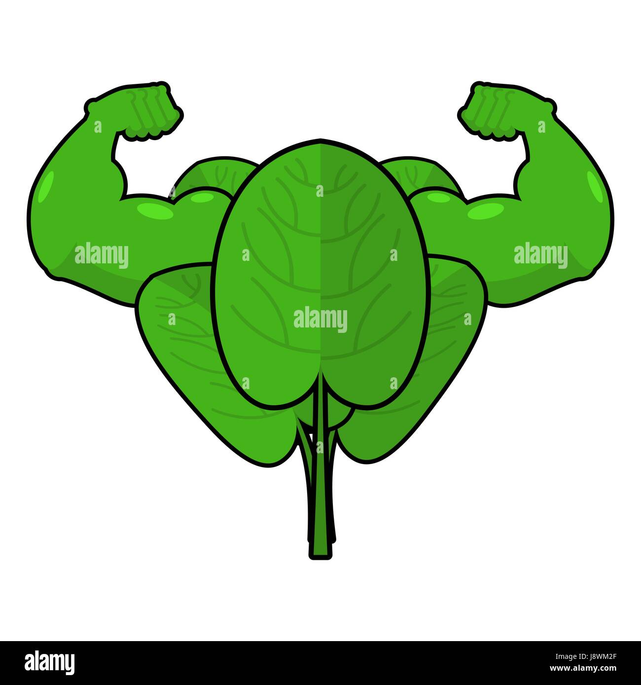 Caucasian spinach Stock Vector Images - Alamy