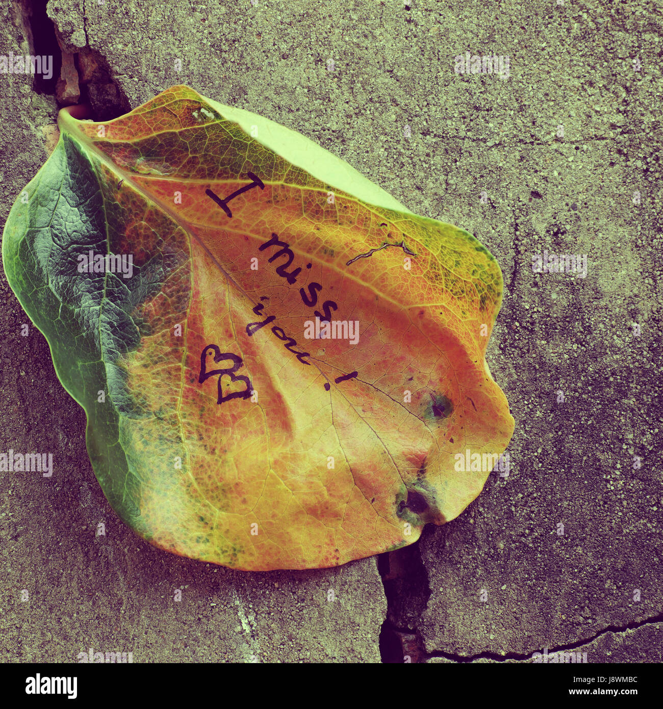 Miss word hi-res stock photography and images - Alamy