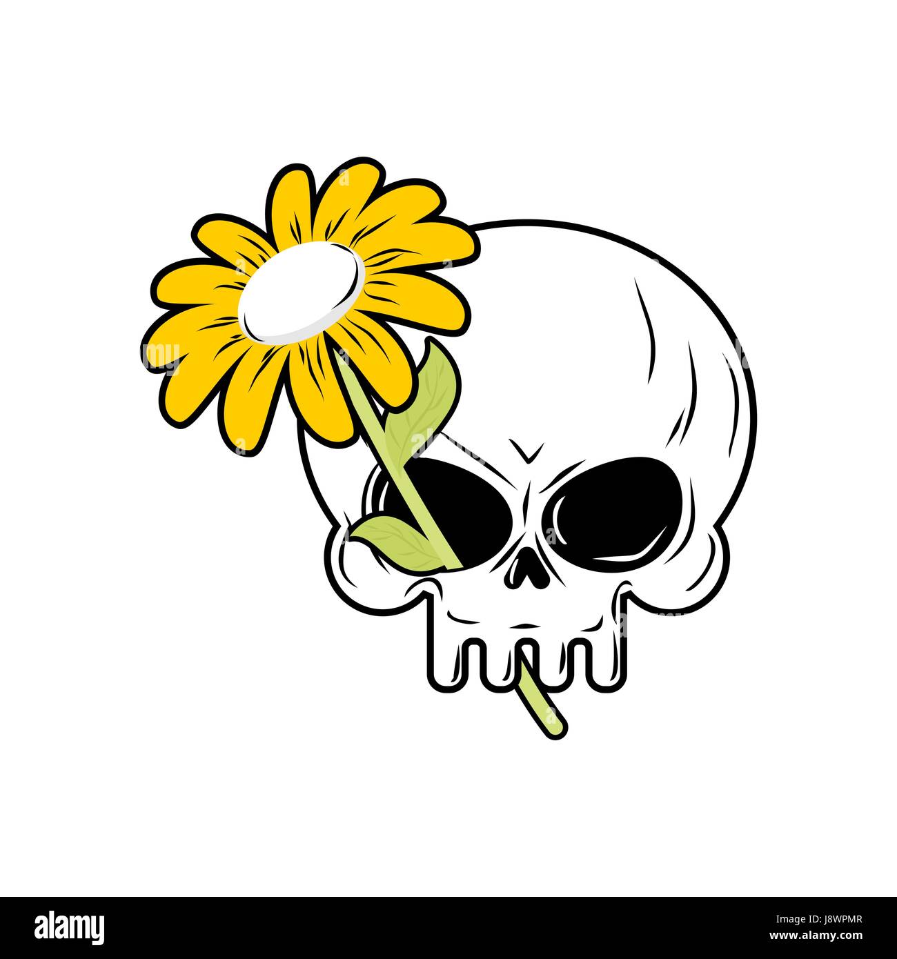 Skull and Chamomile. White flower and death. head of skeleton and plant ...