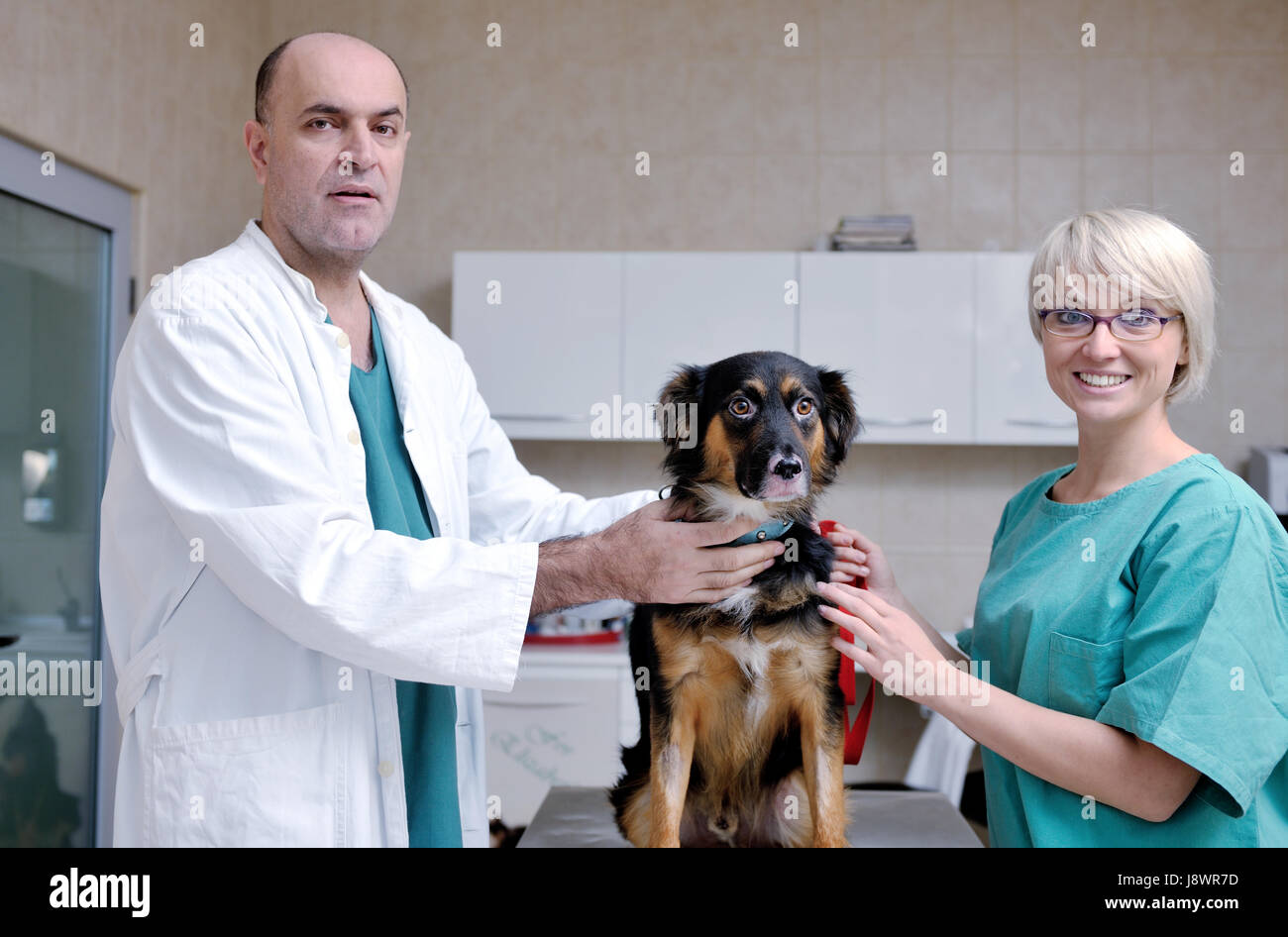 doctor, physician, medic, medical practicioner, woman, humans, human ...