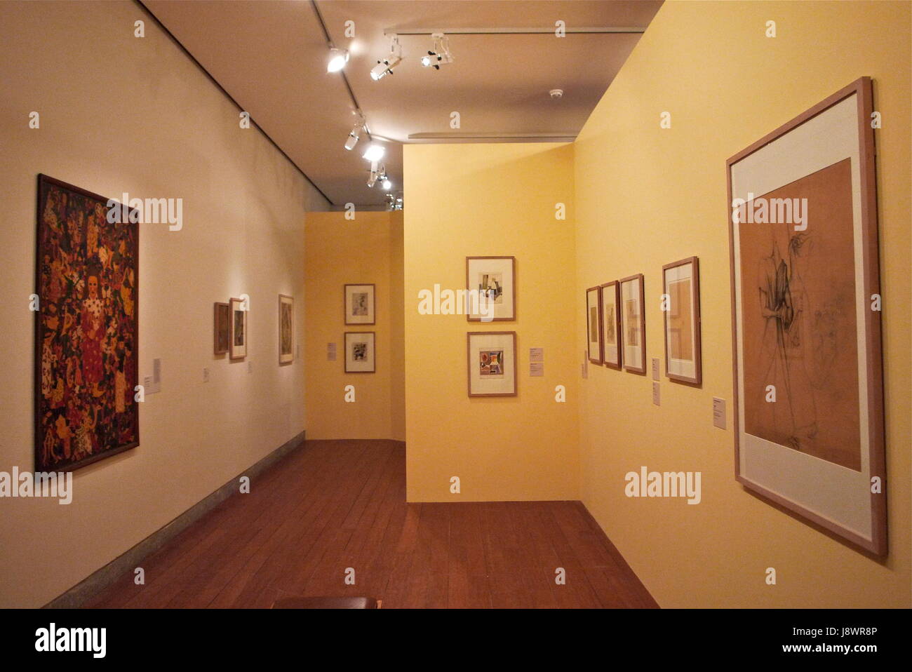 A tour in the collections of Saint-Pierre Museum of Fine Arts, in Lyon ...