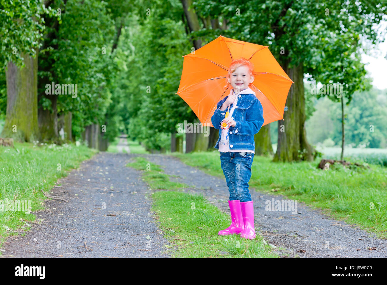 humans, human beings, people, folk, persons, human, human being, person ...