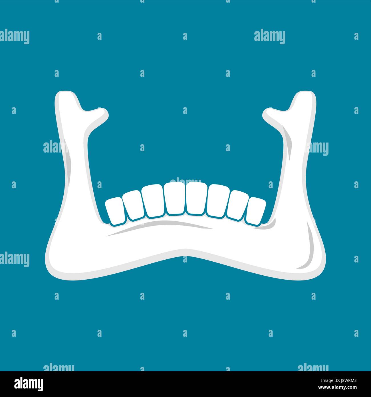 Mandible human isolated. Lower jaw. Anatomy of bone. Part of skull ...