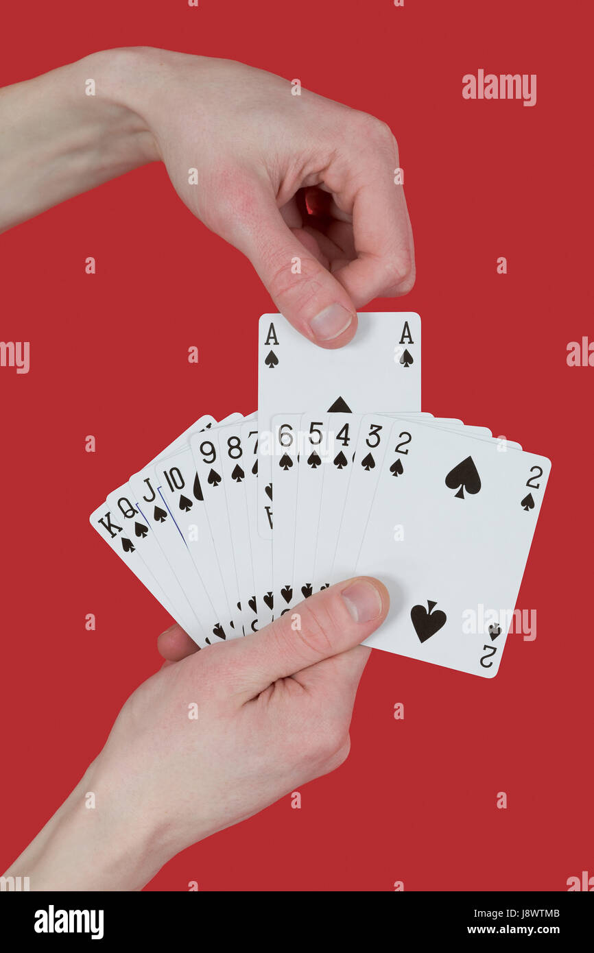 hand, object, human, human being, palm, limb, fingers, white, hand ...