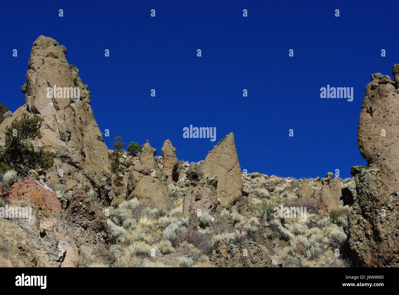 blue, rock, bush, deep blue, firmament, sky, unclouded, cloudless, blue ...