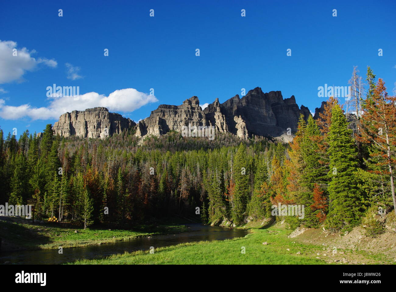 tree, rock, conifer forest, mountain, forest, river, water, blue, tree ...