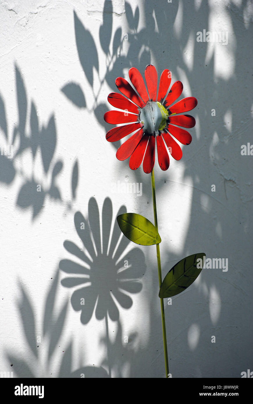 Eisenblume hi-res stock photography and images - Alamy