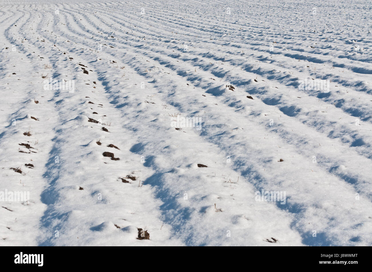 winter, field, snow, coke, cocaine, material, drug, anaesthetic ...