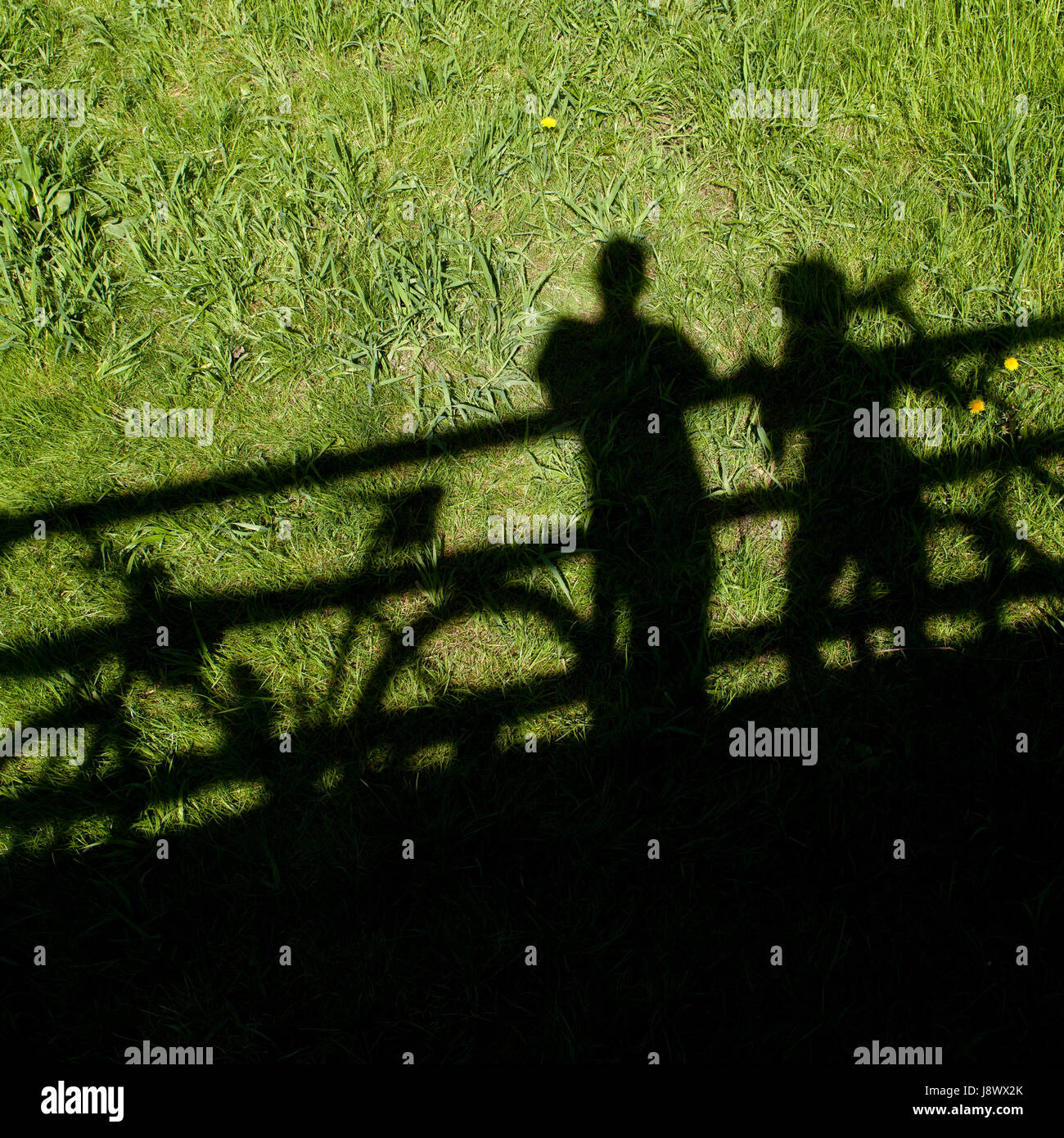 bridge, biker, outdoor, silhouette, bike, bicycle, cycle, backdrop ...