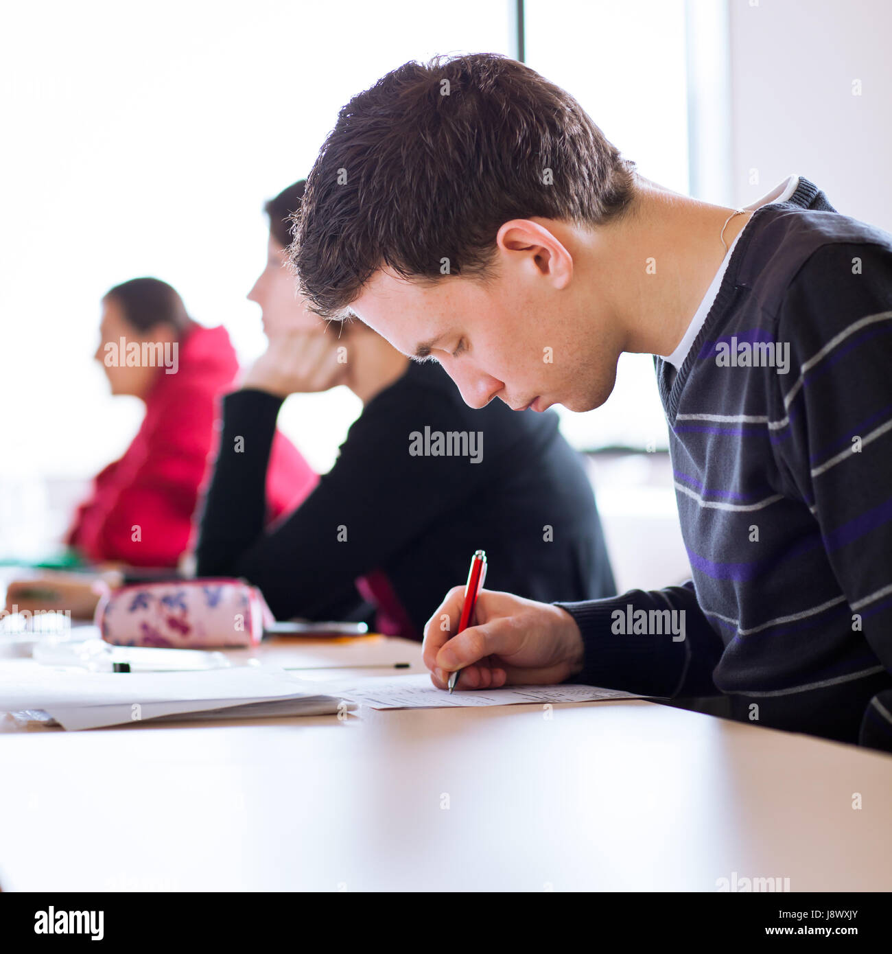 study, male, masculine, class, student, university, educational ...