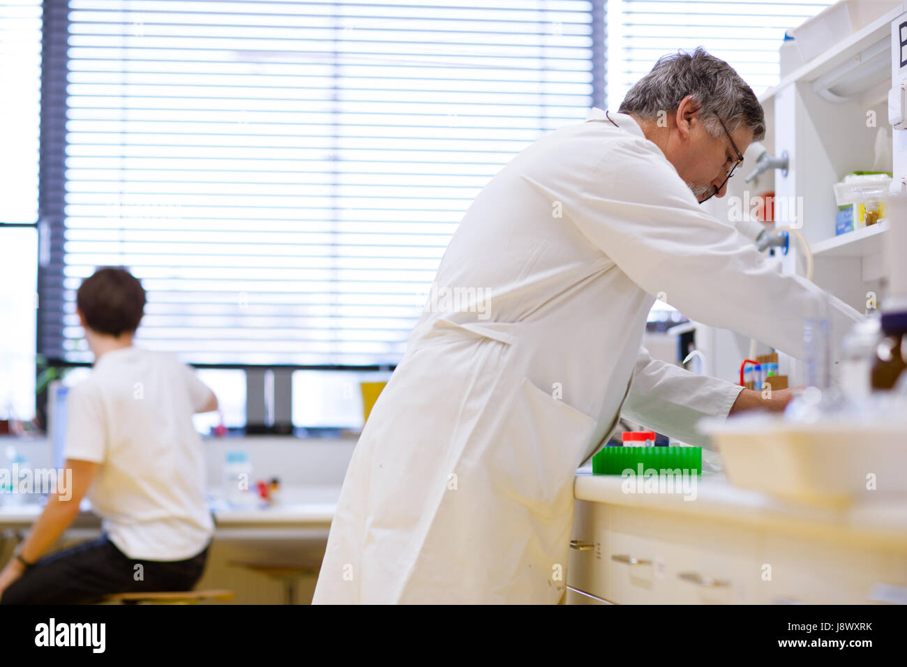 research, laboratory, chemistry, researcher, scientist, senior, senior ...