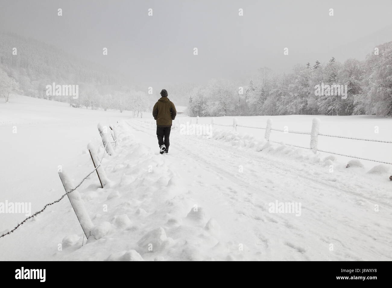 walk in the snow Stock Photo - Alamy