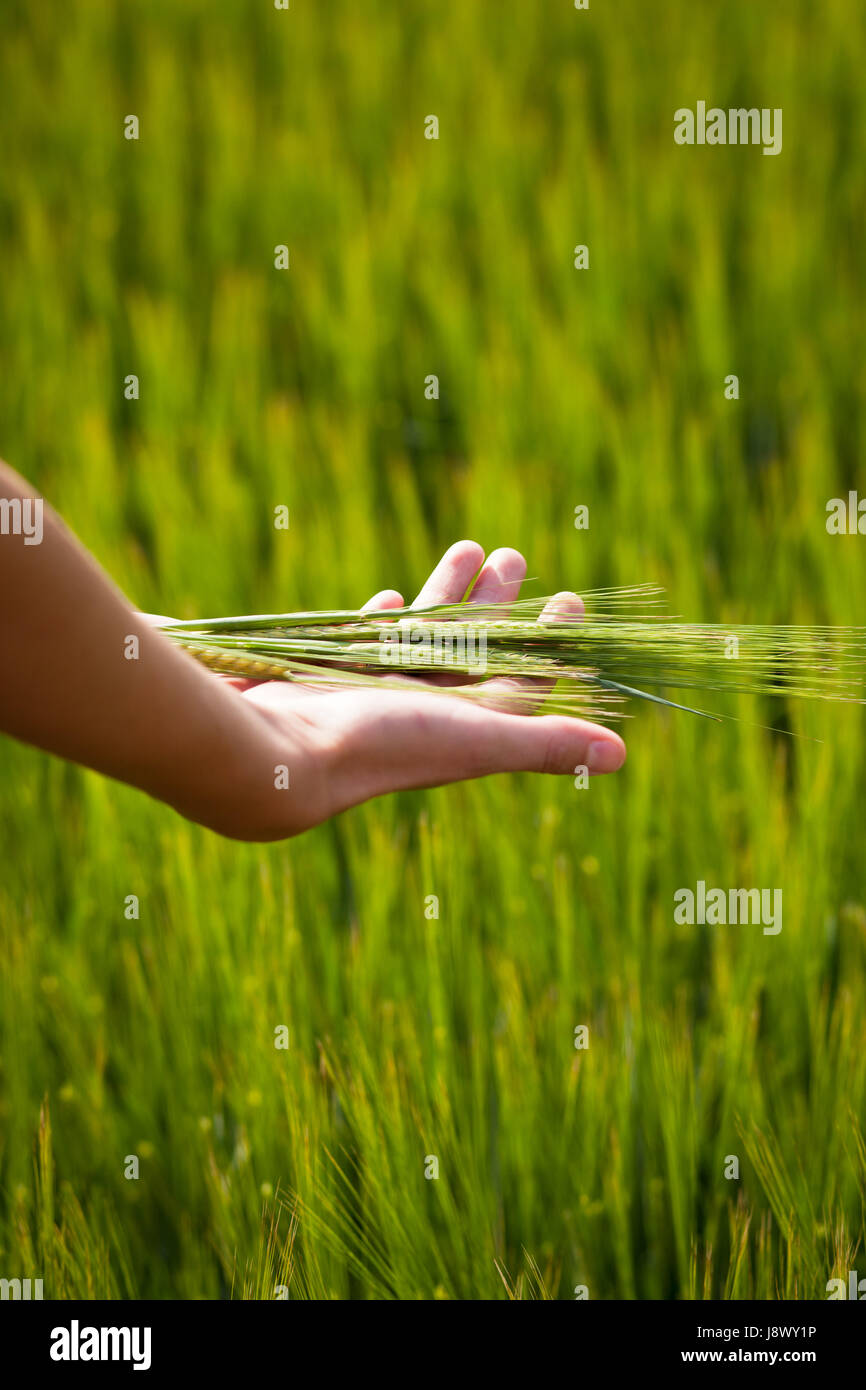 woman, hand, hands, prosperity, outdoors, pictogram, symbol, pictograph ...