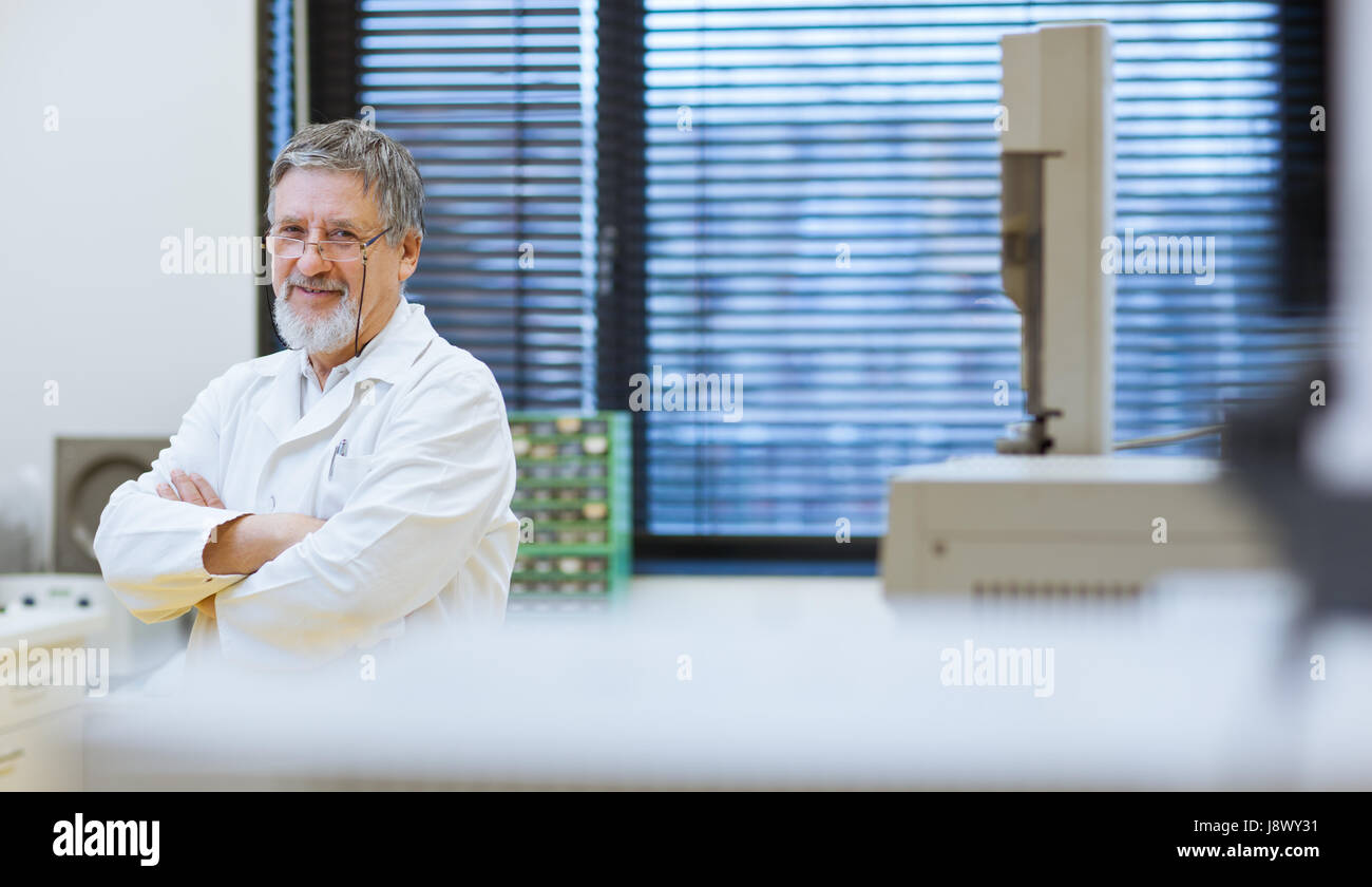 men, man, portrait, workplace, laboratory, chemistry, senior, senior ...