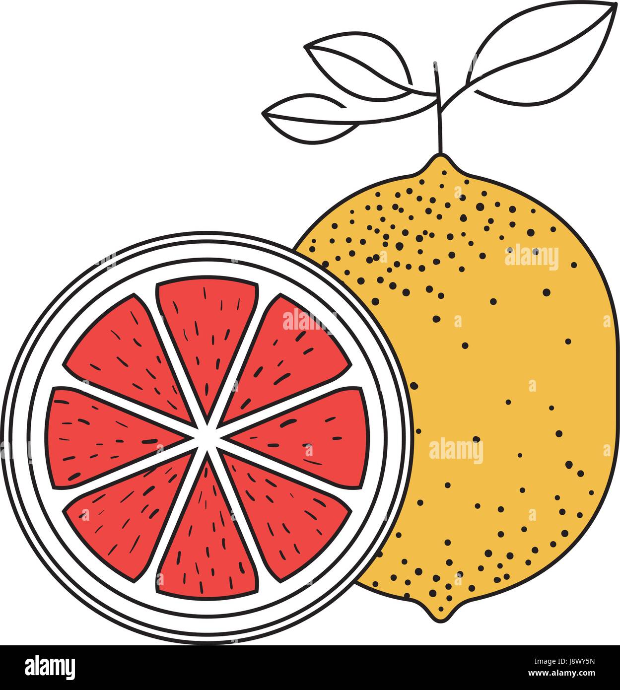 silhouette color section of one lemon fruit and half lemon cut Stock ...