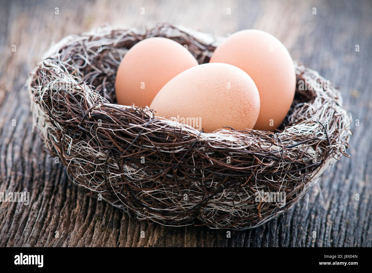 nest, egg, single, birth, childbirth, parturition, delivery, wood ...