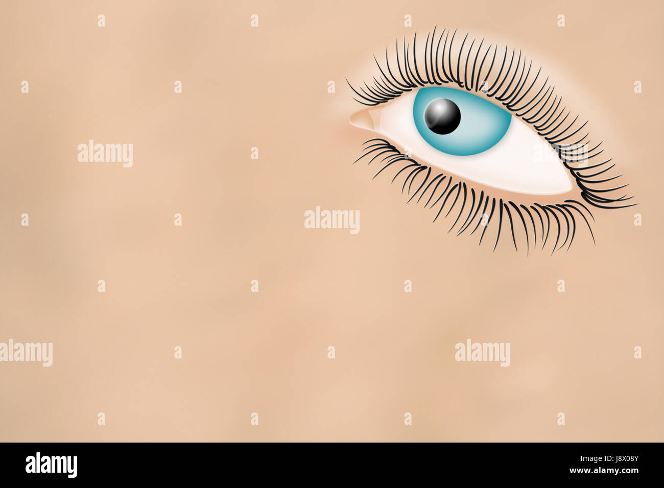 eye, organ, look, glancing, see, view, looking, peeking, looking at ...