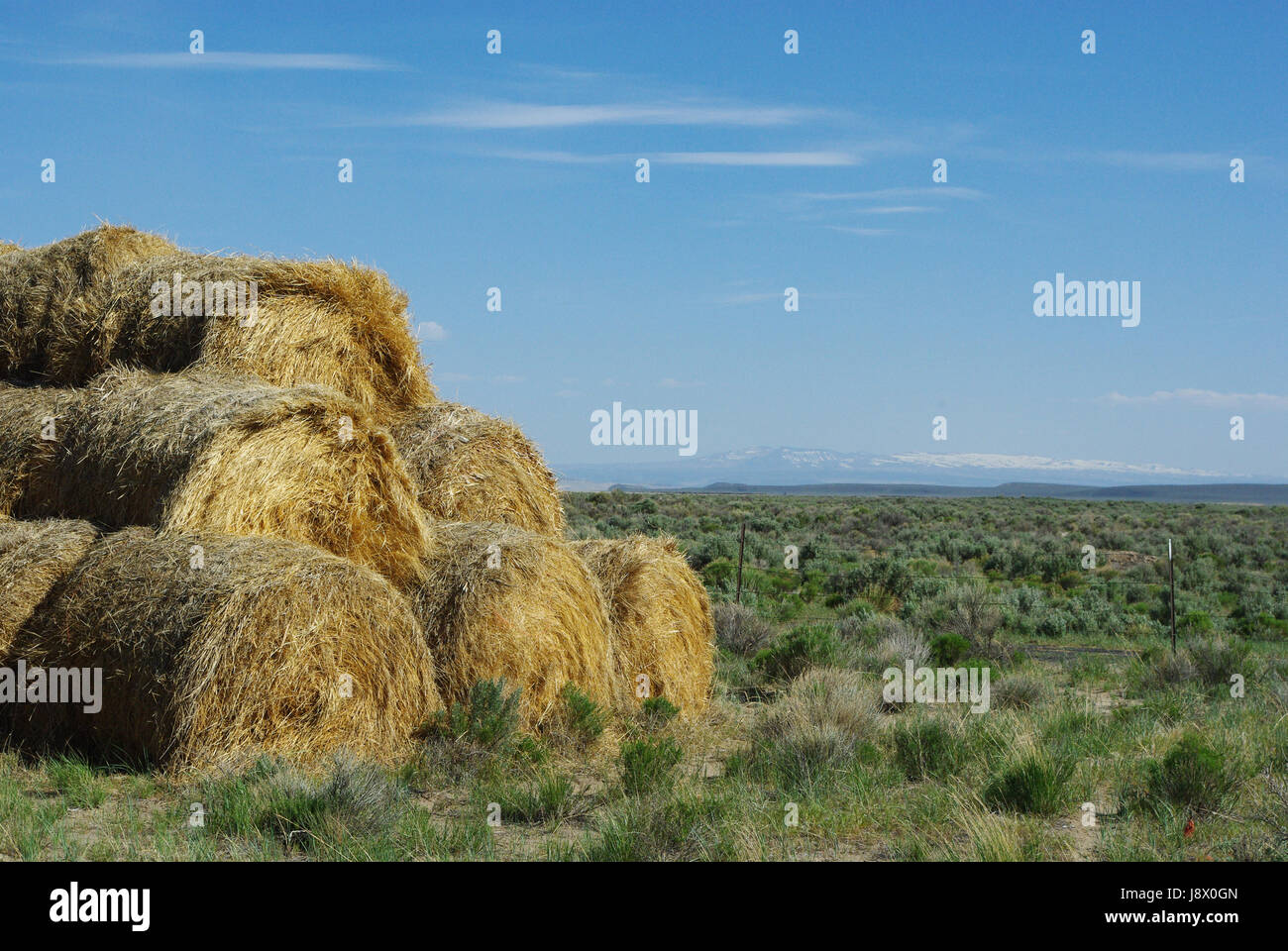hay balls in montana Stock Photo - Alamy