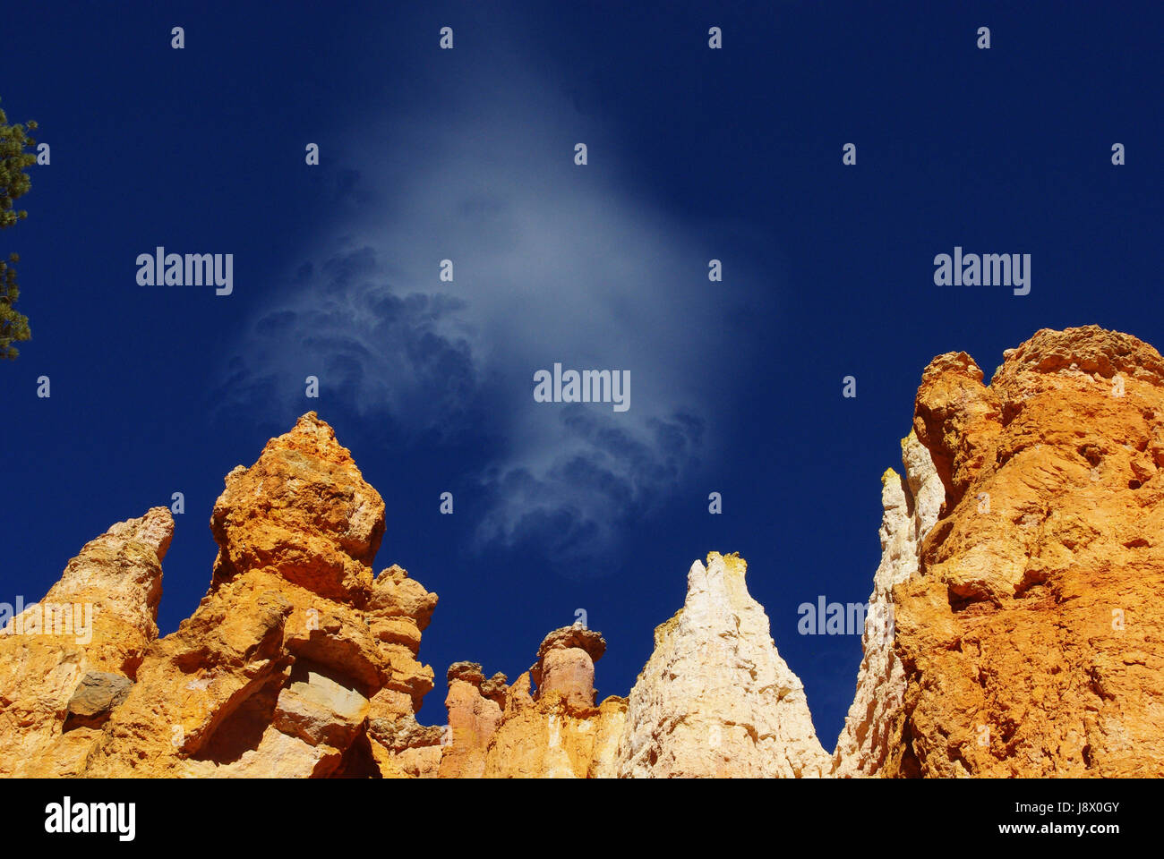 tree, cloud, rock, Canyon, orange, firmament, sky, blue, tree, green ...