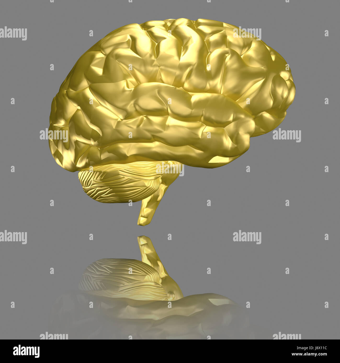 valuable, brain, organ, disease, illness, sickness, dementia, alzheimer ...