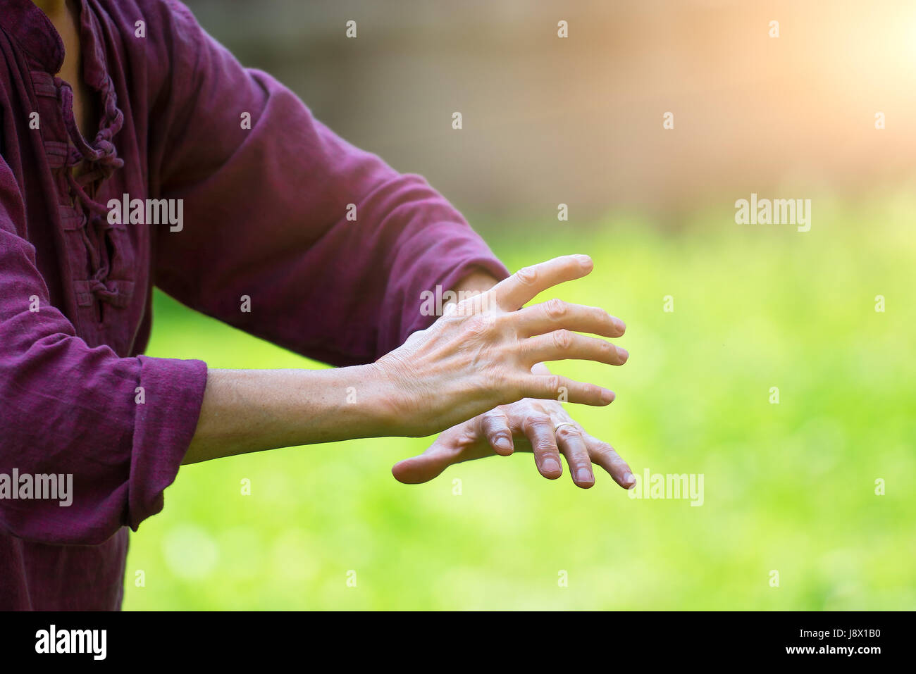 Practice of Tai Chi Chuan in outdoor. Detail of hand positions Stock ...