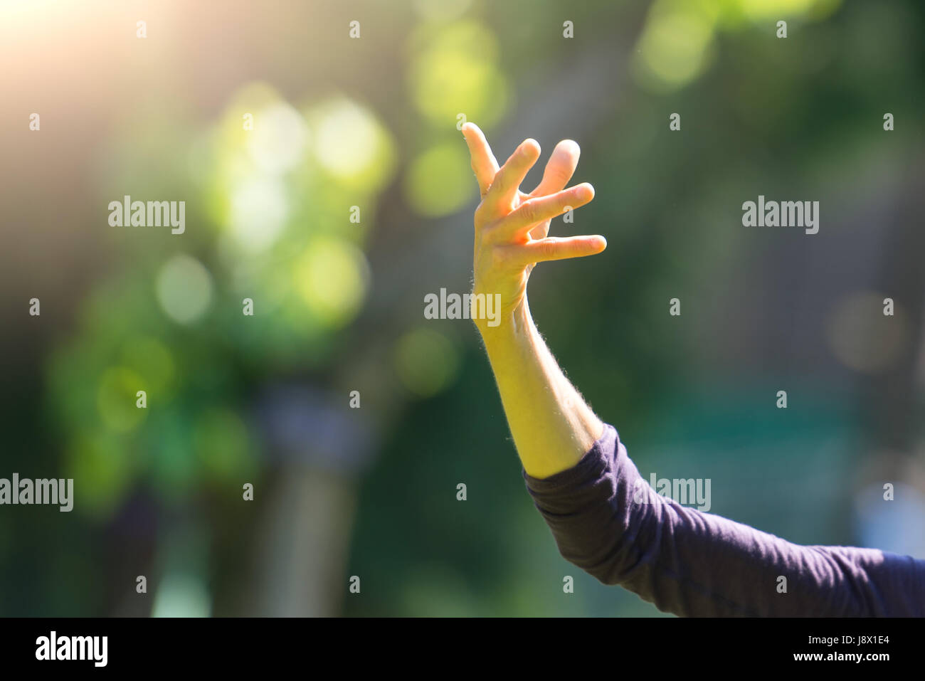 Tai chi japan park hi-res stock photography and images - Alamy