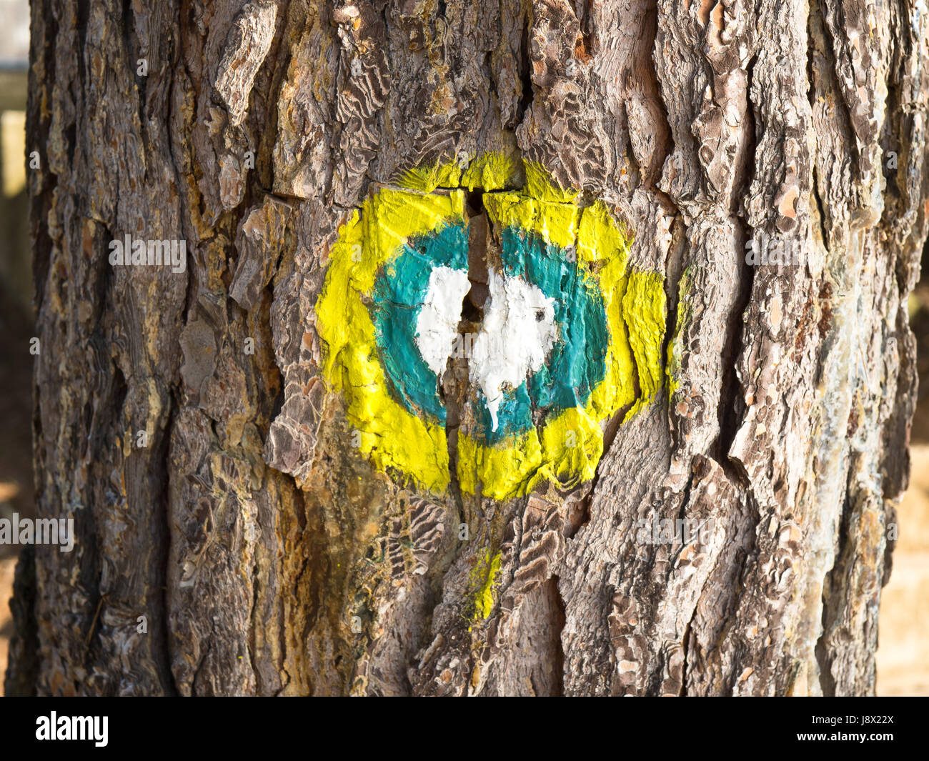 tree, wood, timber, mark, sign, log, chop, tree, wood, timber ...