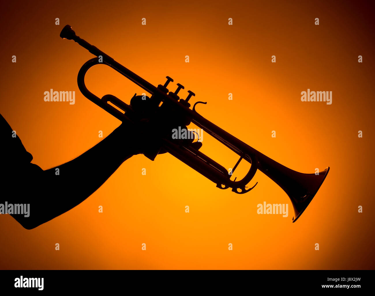 music, jazz, trumpet, possession, holding, backdrop, background, men ...