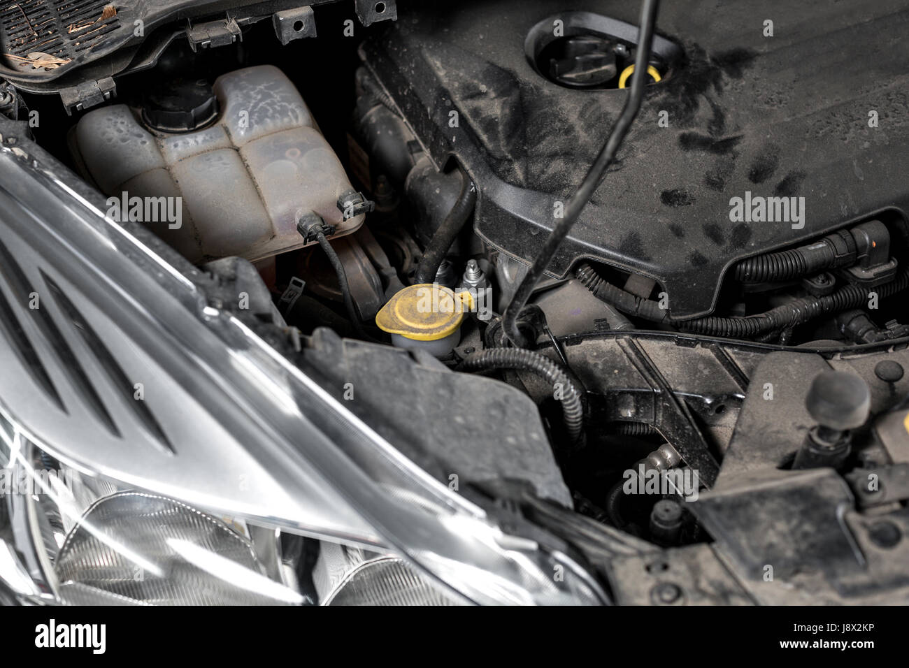 picture of what the car under the hood. Engine, expansion tanks for ...