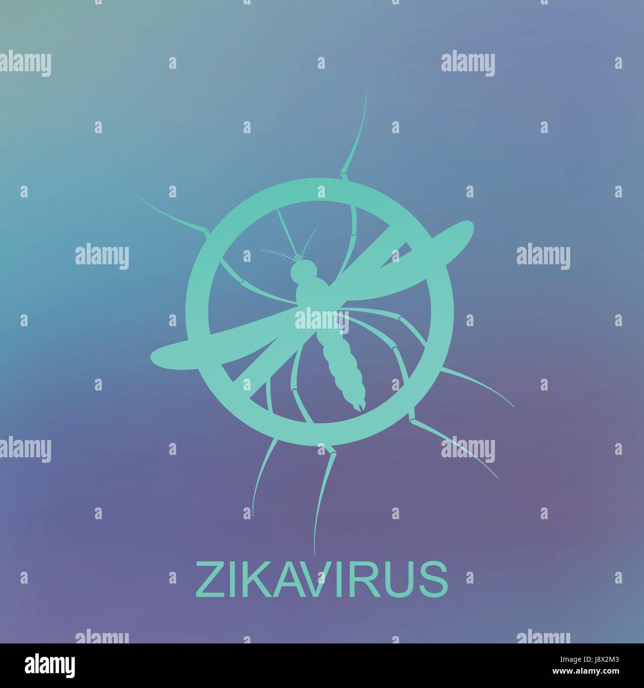 Zika mosquito vector. Virus alert. Aedes Aegypti isolated on blue ...