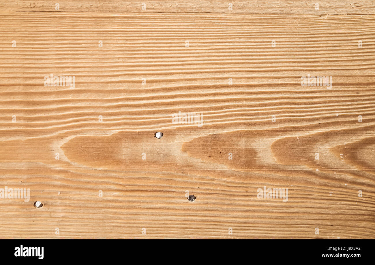 New wooden plank panel made of pine tree with three nails, flat ...