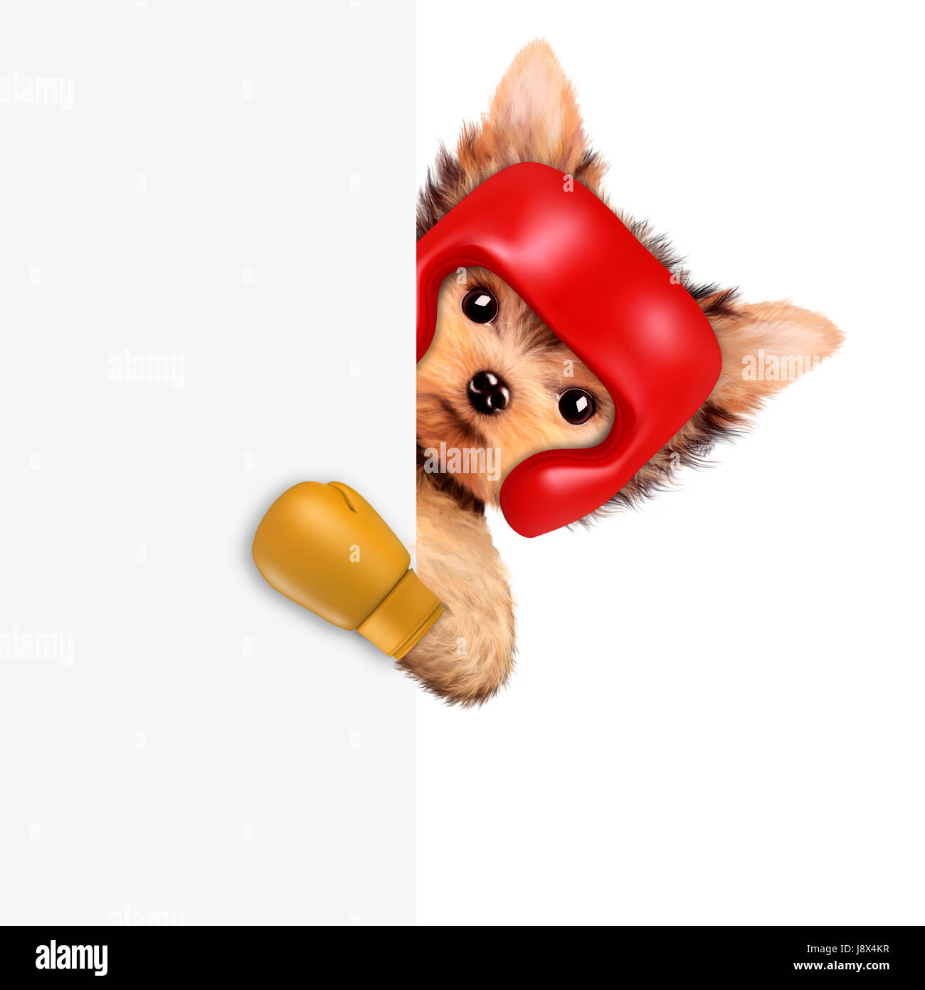 Boxing champion trophy Cut Out Stock Images & Pictures - Alamy