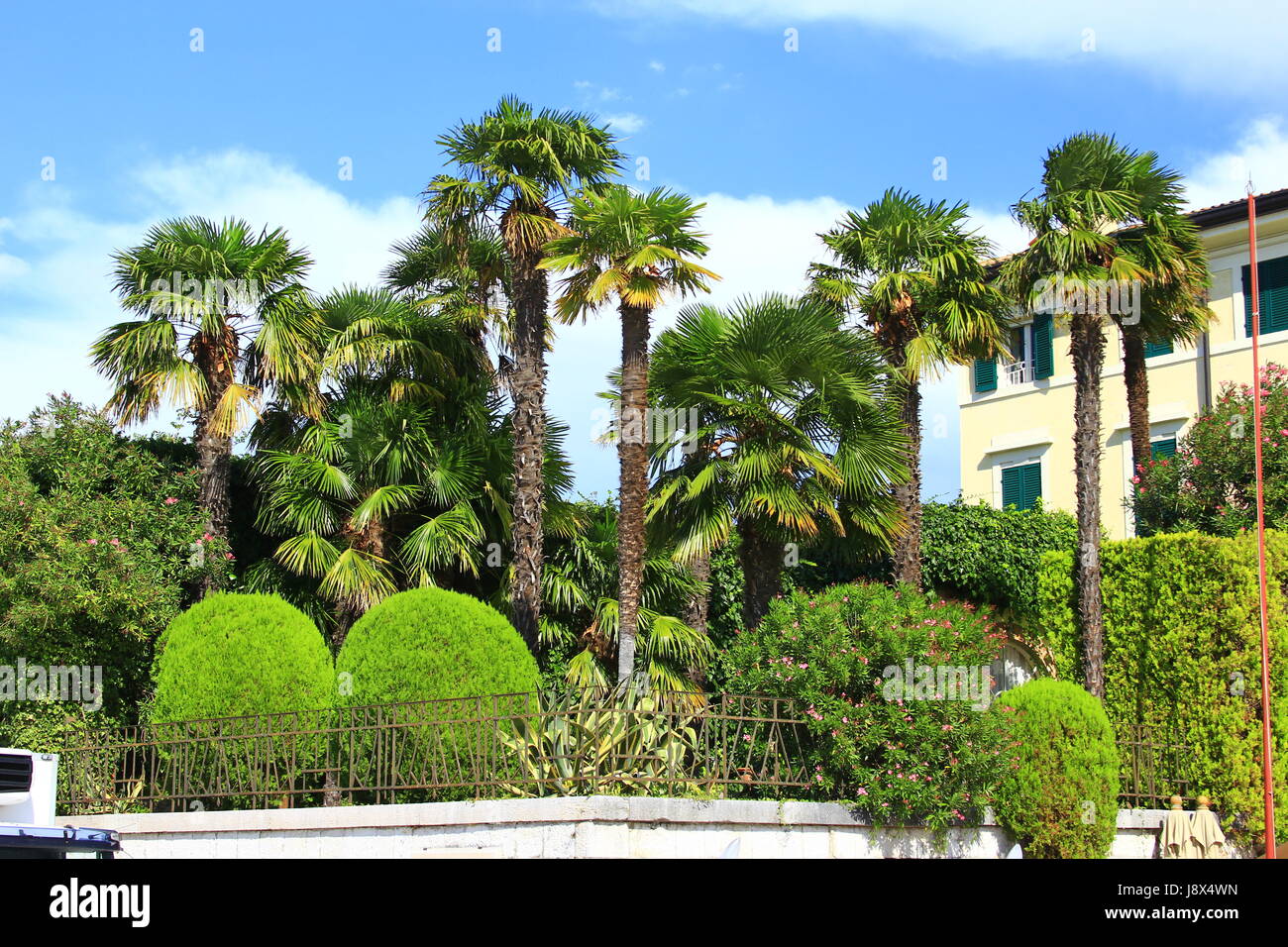 park, garden, palms, palm tree, picturesque, mediterran, gardens ...