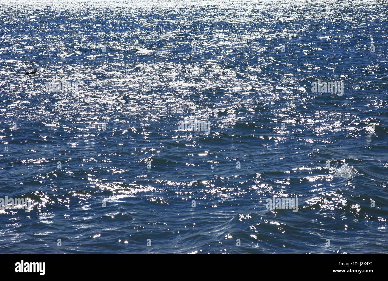 mirroring, surface, glitter, decorative, salt water, sea, ocean, water ...