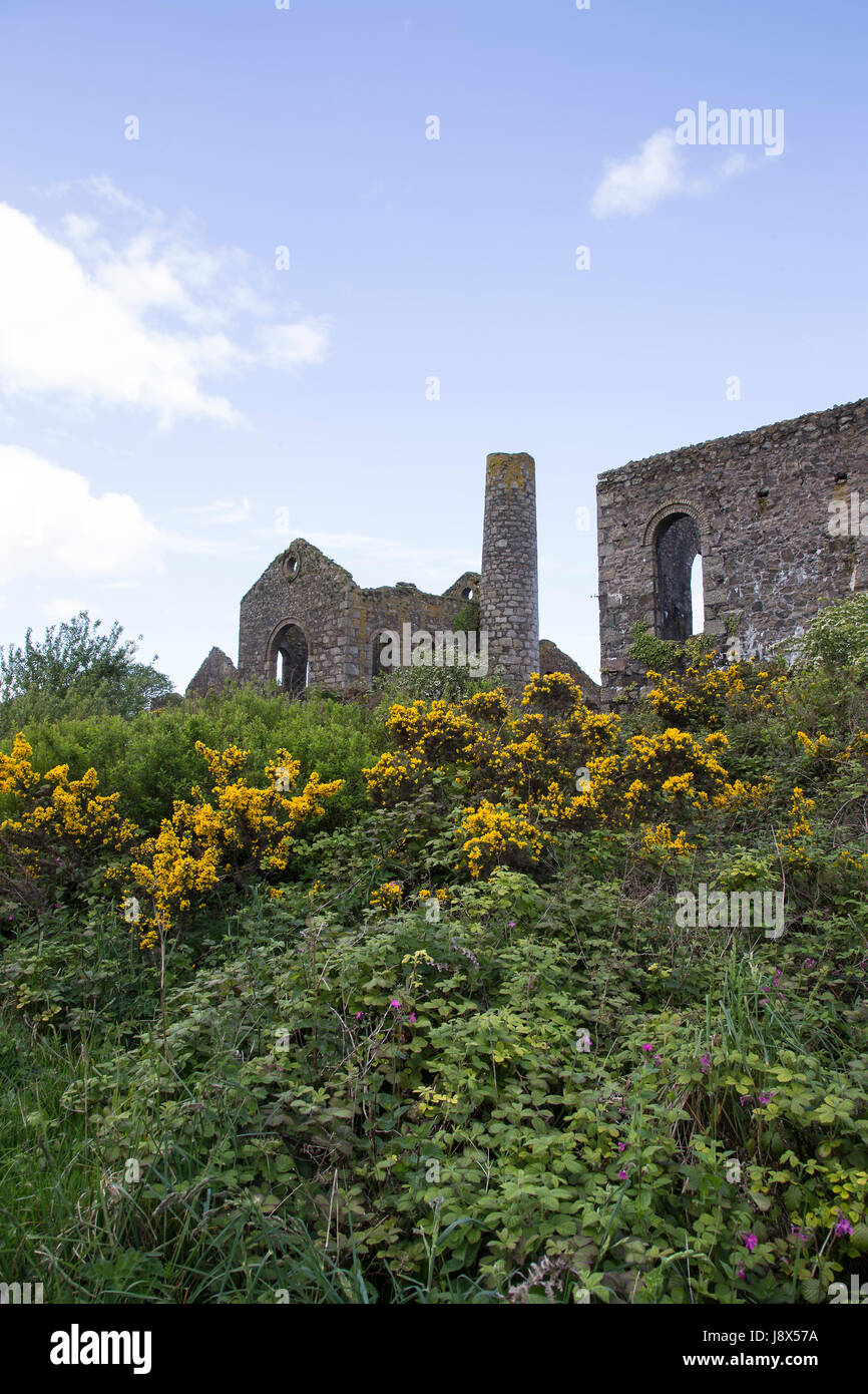 Cornish tin mine buildings, Camborne Stock Photo - Alamy