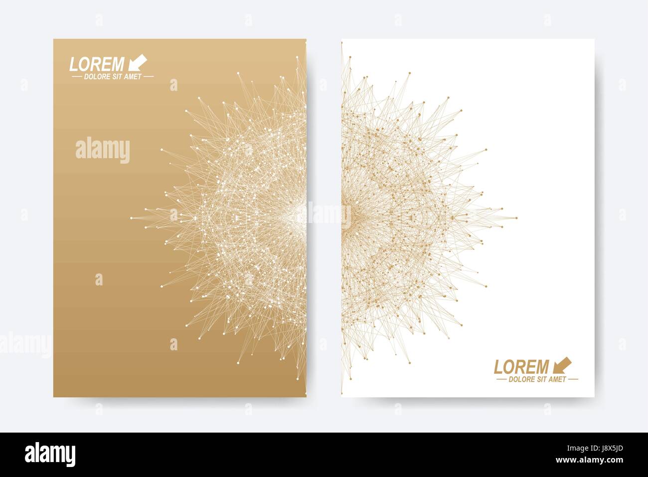 Modern vector template for brochure, Leaflet, flyer, cover, magazine or annual report. A4 size ...