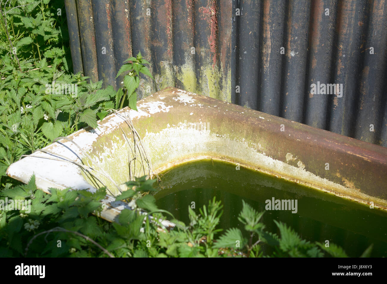 Old discarded bath left to rot in countryside Stock Photo - Alamy