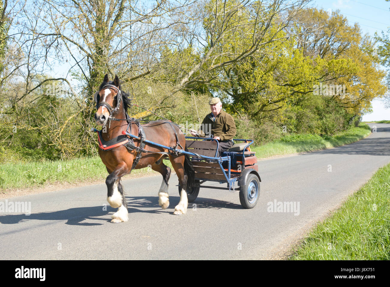Man pulling cart hi-res stock photography and images - Alamy