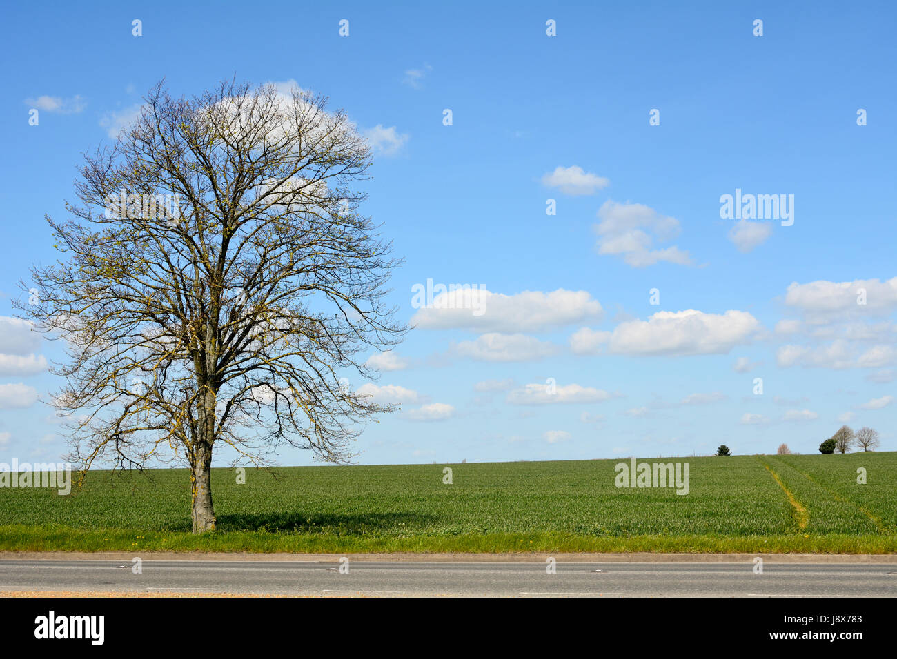Growing on edge hi-res stock photography and images - Alamy