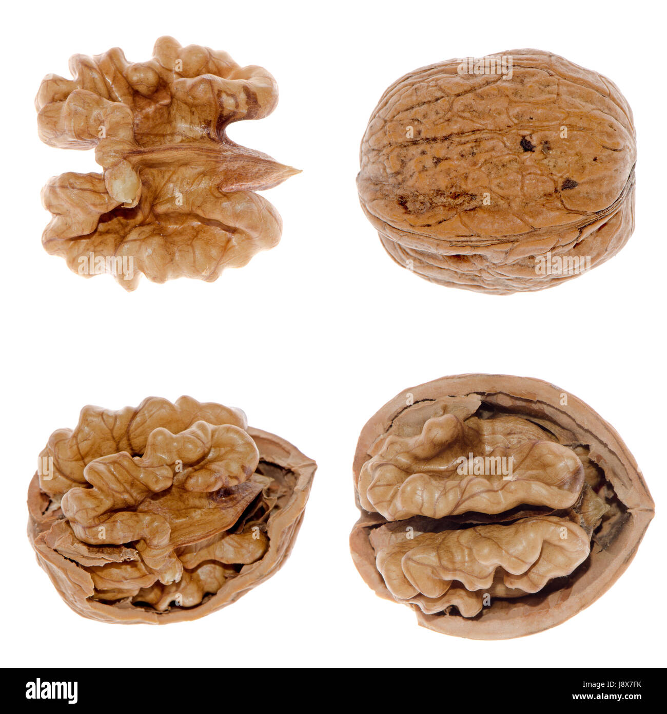 food, aliment, closeup, shell, party, celebration, open, diet, nuts ...