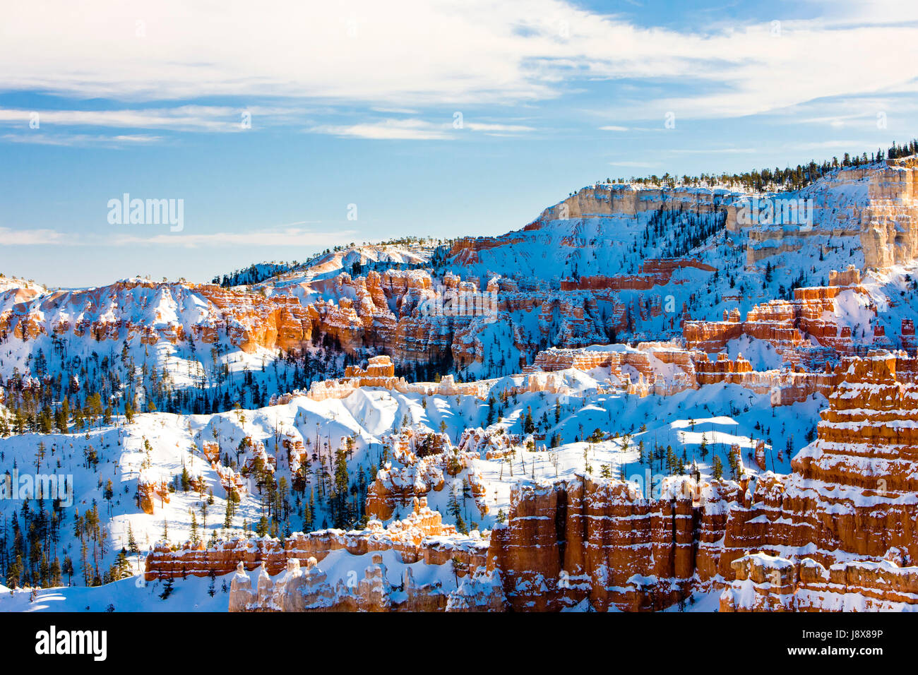 usa, nature, travel, winter, national park, snow, coke, cocaine ...