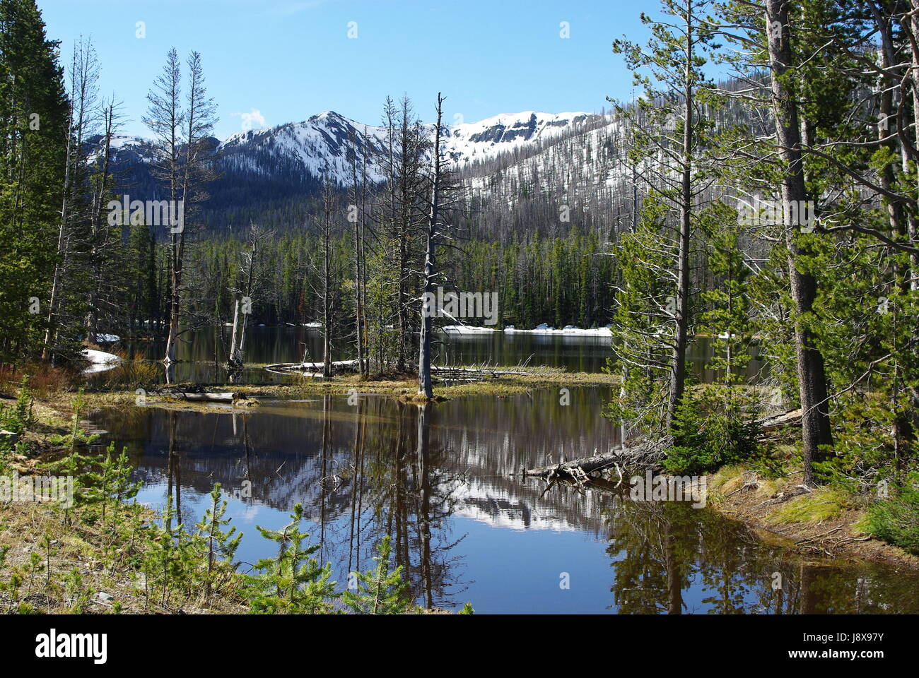 tree, fresh water, lake, inland water, water, firmament, sky, mountain ...