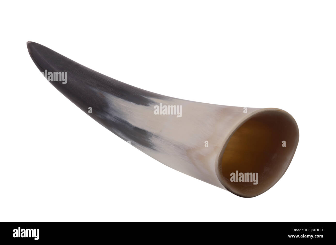 drink, drinking, bibs, horn, wine, alcohol, bone, viking, barbarian ...