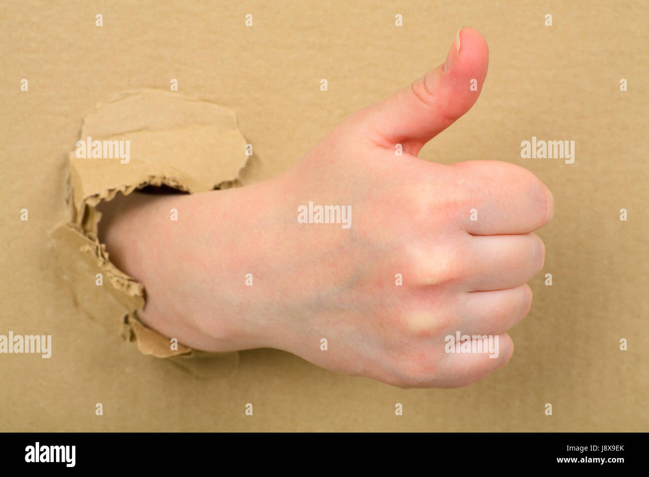 hand, object, human, human being, palm, limb, fingers, white, woman ...