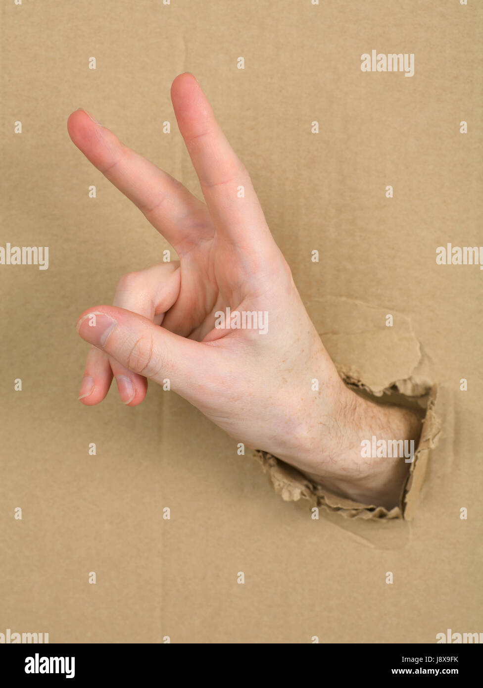 hand, object, human, human being, palm, limb, fingers, white, gesture ...