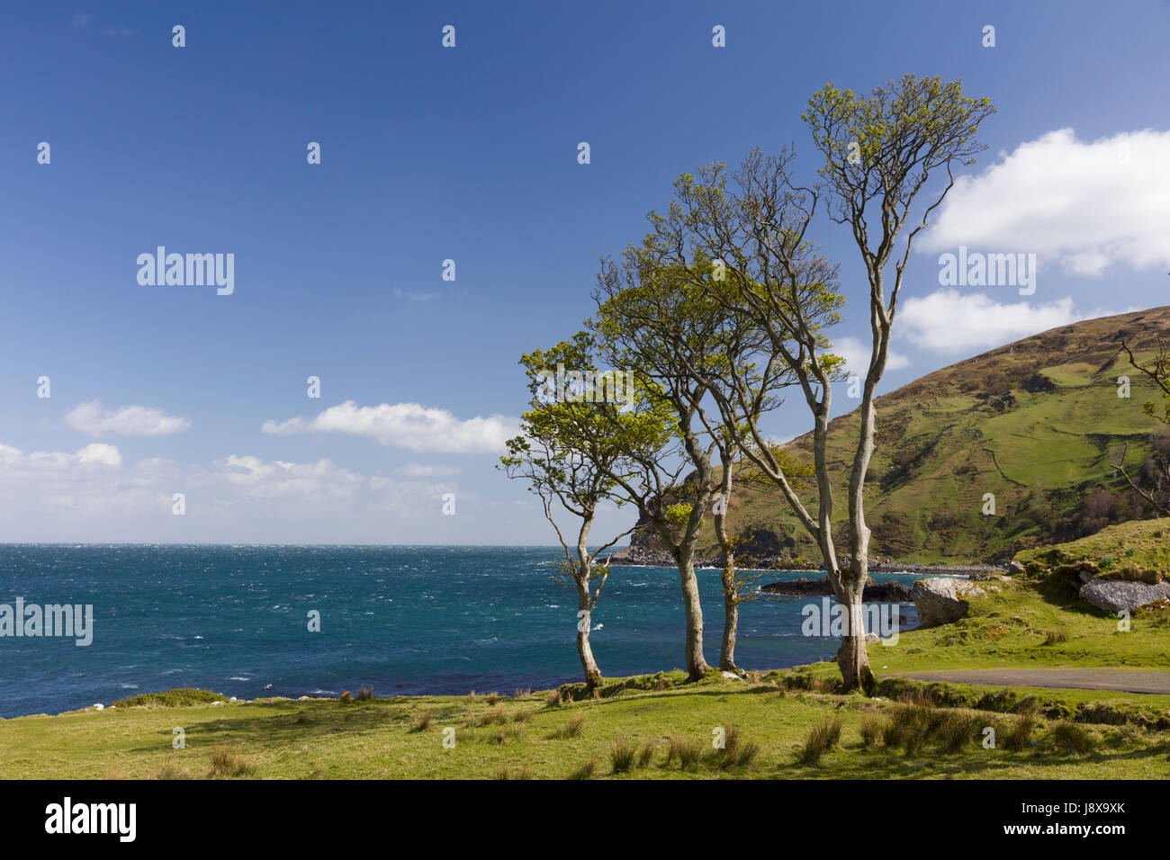 Murlough Bay High Resolution Stock Photography and Images - Alamy