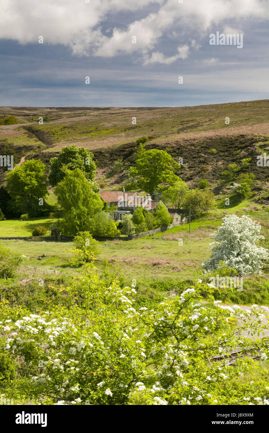 Darnholme hamlet hi-res stock photography and images - Alamy